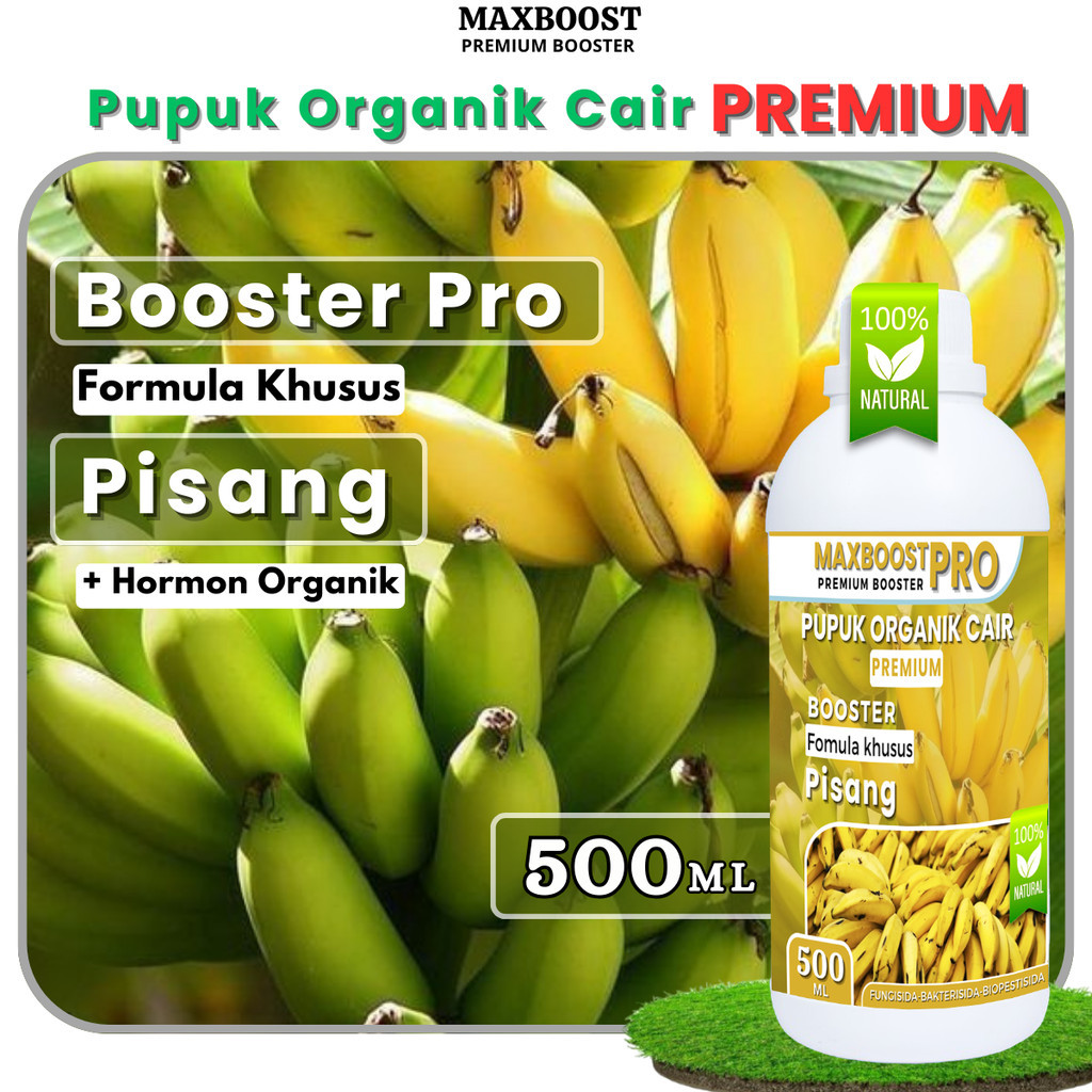 Jual Pupuk Organik Cair, Plus Hormon, Booster Pisang Poc Kompos Khusus Pisang Booster Pisang ...