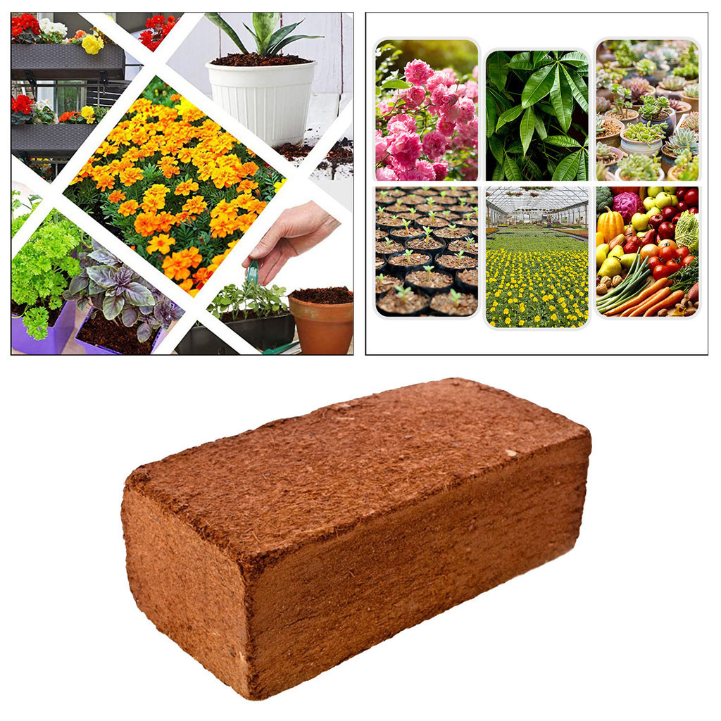 Jual Natural Organic 650g 9L Planting Coco Nutrient Soil Substrate Coconut Coir Bricks Planting ...