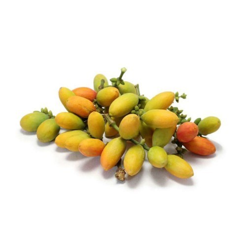 Jual buah biji melinjo mlinjo belinjo 250 - BEST Fresh Food | Shopee ...