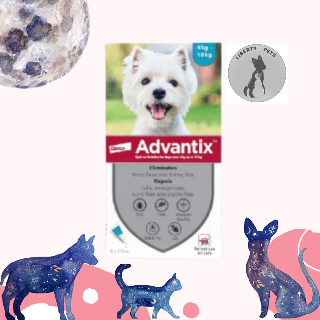 Jual Advantix Medium Dog 4kg - 10Kg Anti Kutu Anjing (1 Tube) | Shopee ...