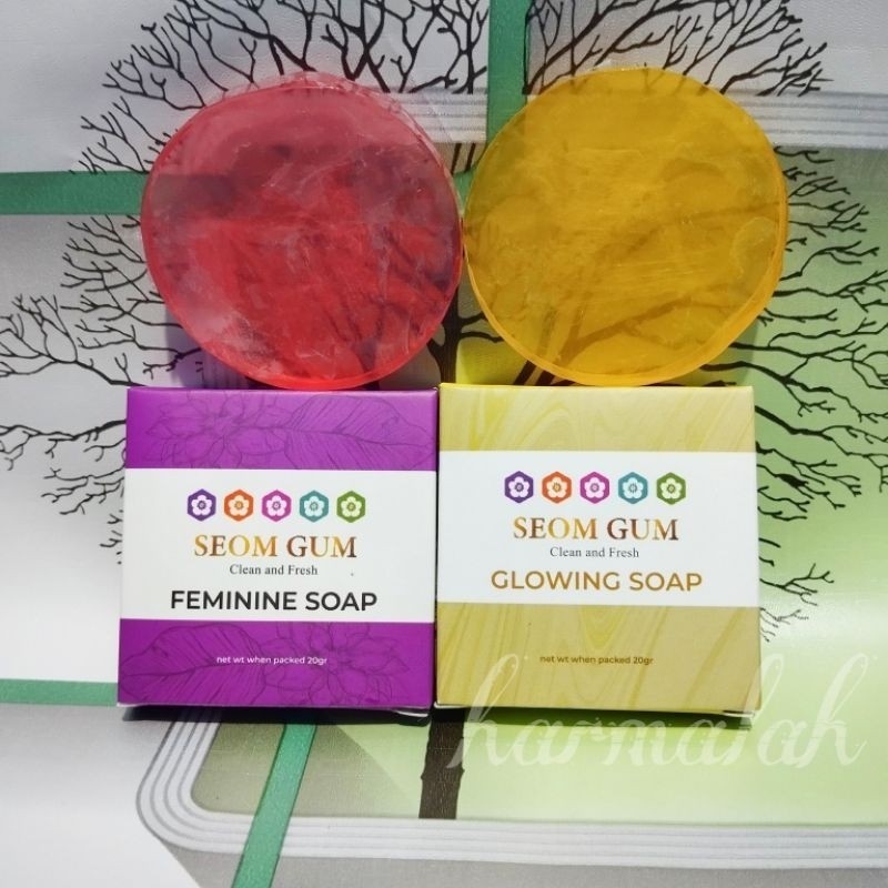 Jual sabun ISI 4 PCS seom gum feminine & glowing kemasan polos | Shopee ...
