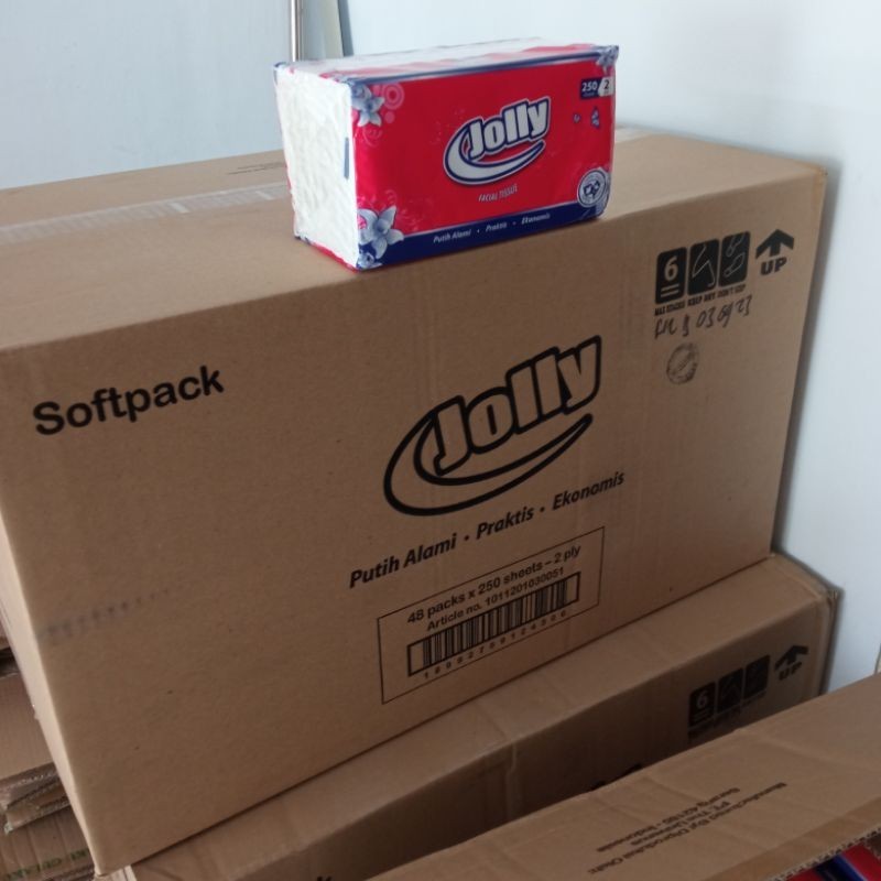 Jual Jolly Facial Tissue 1 KARTON - 250 sheets x 48 pack | Tisu Jolly ...