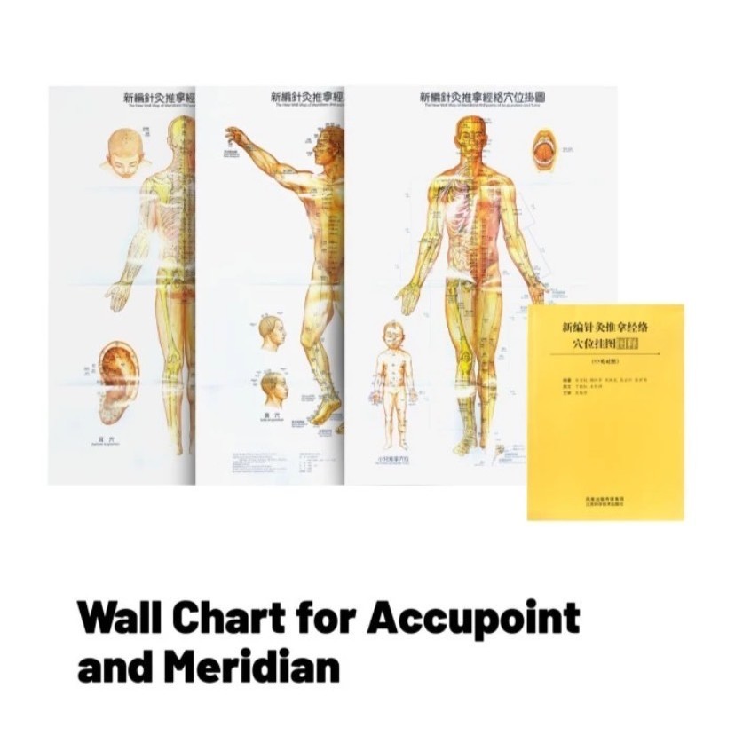 Jual Wall Chart Accupoint and Meridian Gambar Titik Akupuntur Poster ...