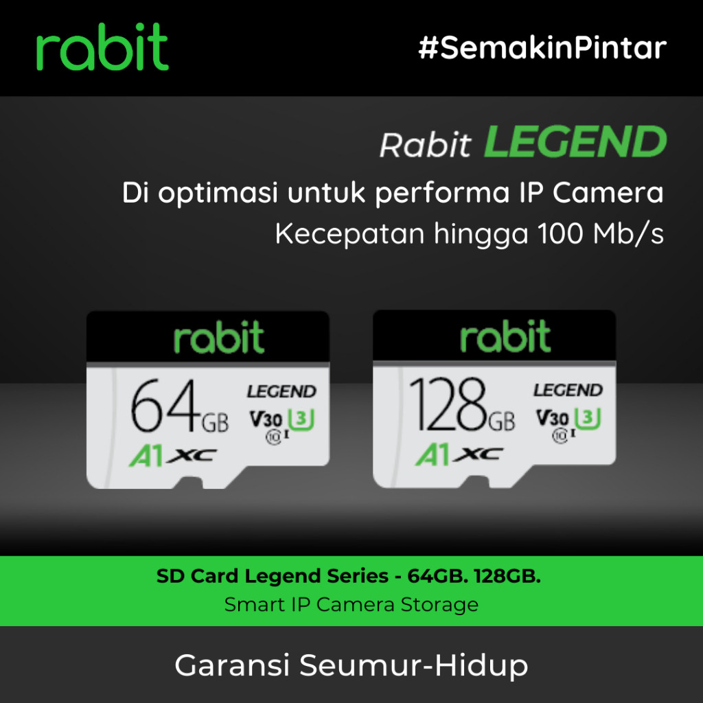 Jual RABIT Micro SD Card 64GB 128GB 100MB/s Legend Series Memory Card ...
