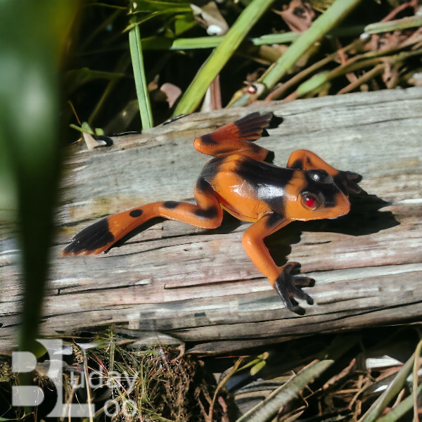 Jual Mainan Miniatur Katak Kodok Orange 5 cm Frog 10 Figure Jenis Katak ...