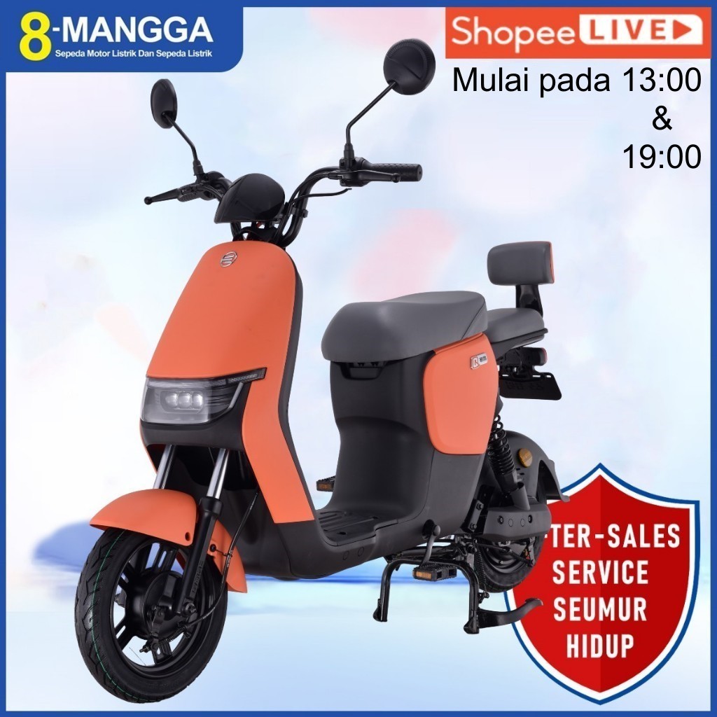 Jual [After-sales Service Seumur Hidup] Sepeda Listrik SAIGE GT Sepeda ...