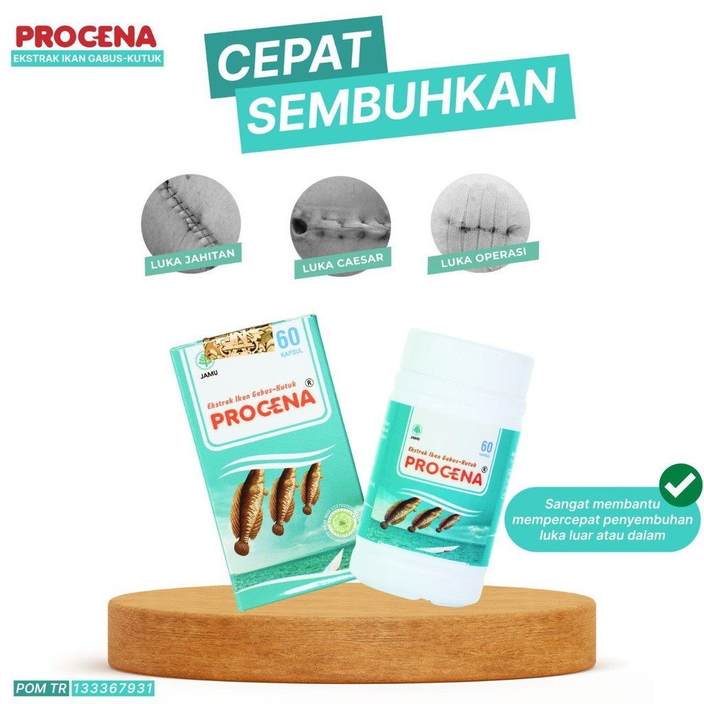 Jual Procena Kapsul Ikan Gabus Ekstrak Kutuk Murni 60 Kapsul BPOM ...