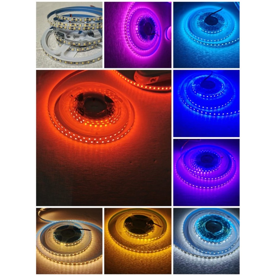 Jual LED STRIP 2835 120 LED Indoor IP 33 12V - Biru | Shopee Indonesia