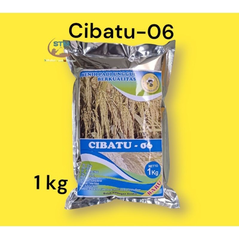 Jual Benih cibatu 06 (1kg) | Shopee Indonesia