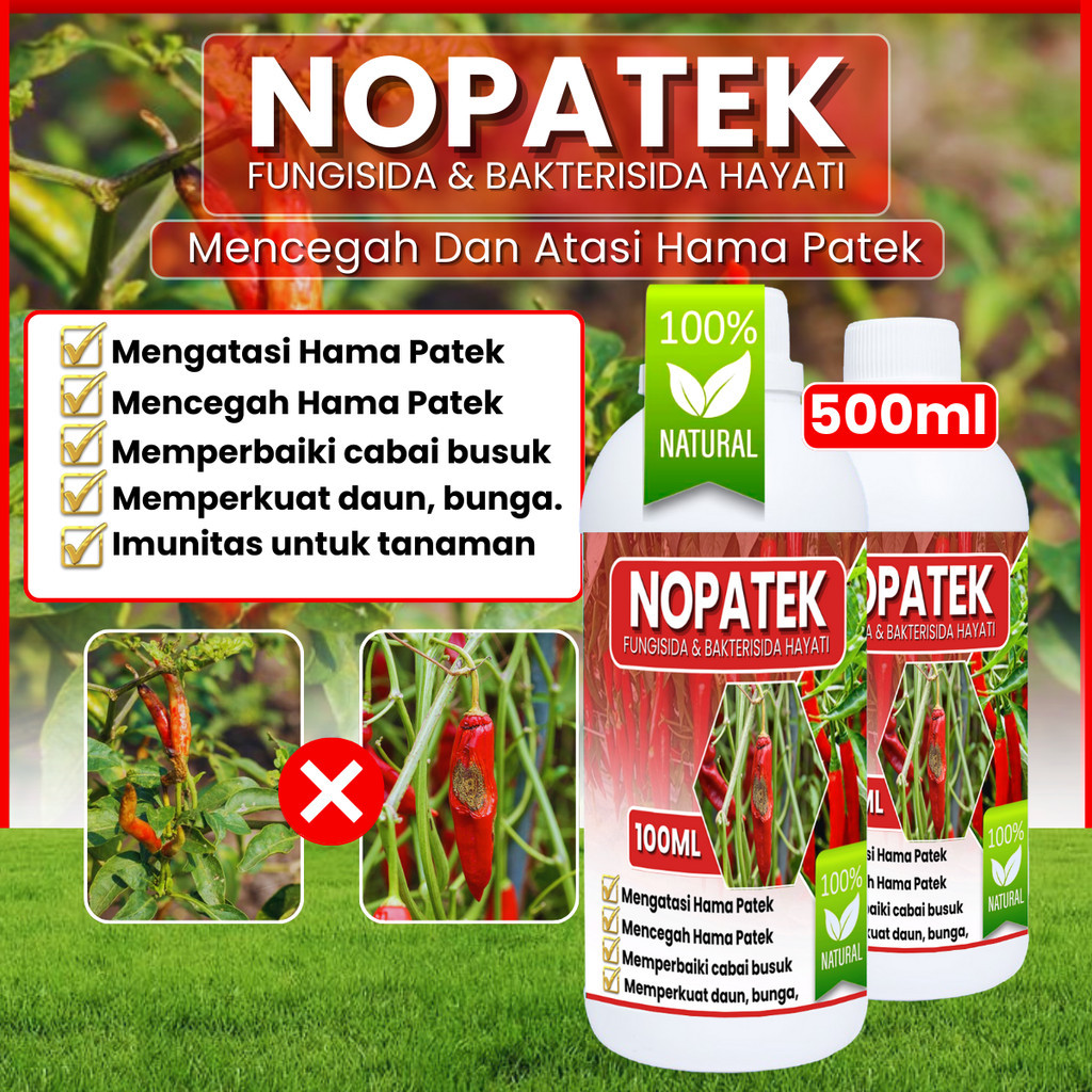 Jual NOPATEK 500ml Fungisida Hayati, MENCEGAH DAN ATASI PATEK Obat Hama Penyakit Patek Pada Cabe ...