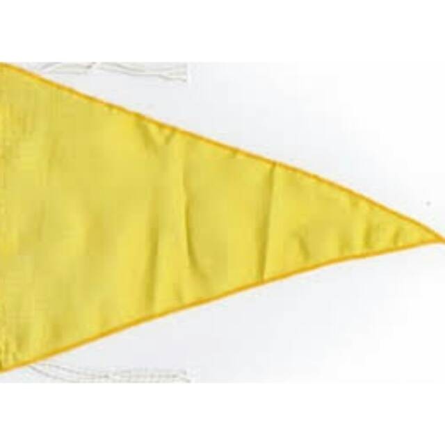 Jual Bendera Pramuka 20 Biji Bendera Barung Bendera Siaga Bendera SD ...