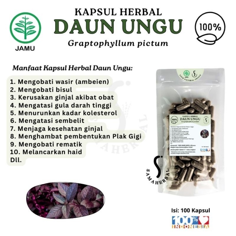 Jual ISI 100 KAPSUL HERBAL DAUN UNGU Asli - SAMAHERBAL | Shopee Indonesia