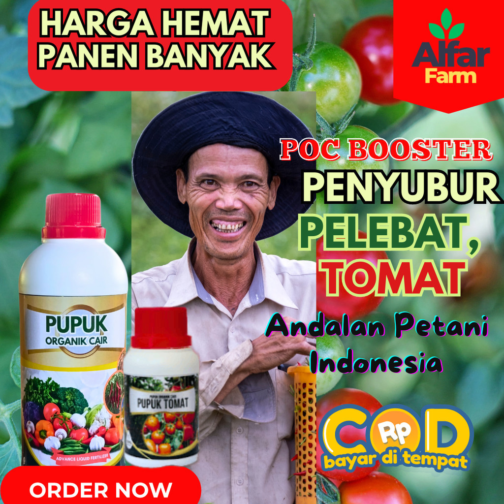 Jual Pupuk Organik Cair Pelebat buah Tomat cepat panen penyubur tanaman tomat ukuran 100 ml ...