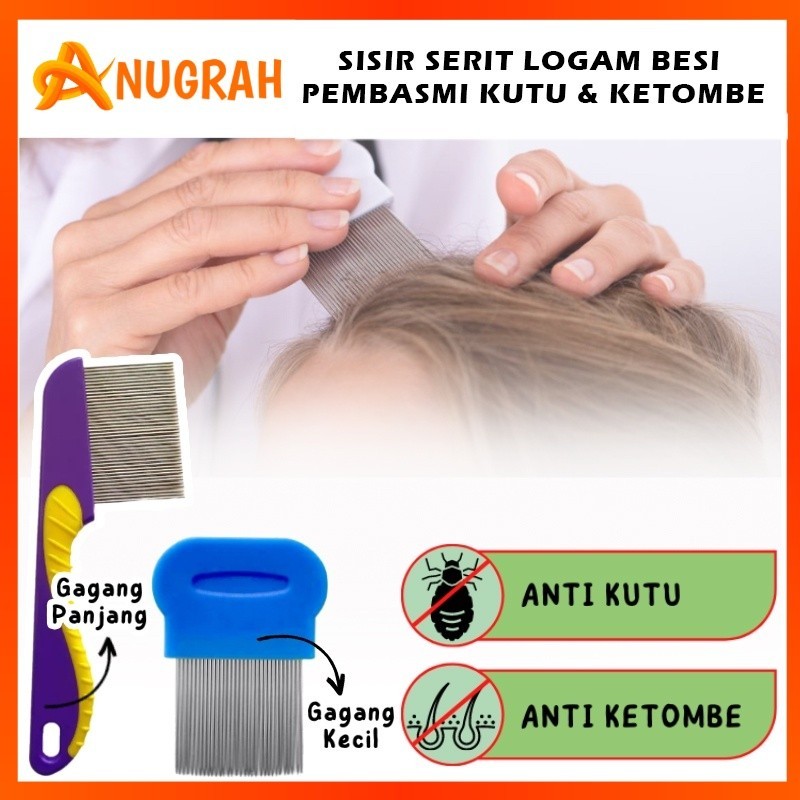 Jual Sisir Serit Kutu Gagang Panjang Dan Pendek Rapat Ajaib Pembasmi ...