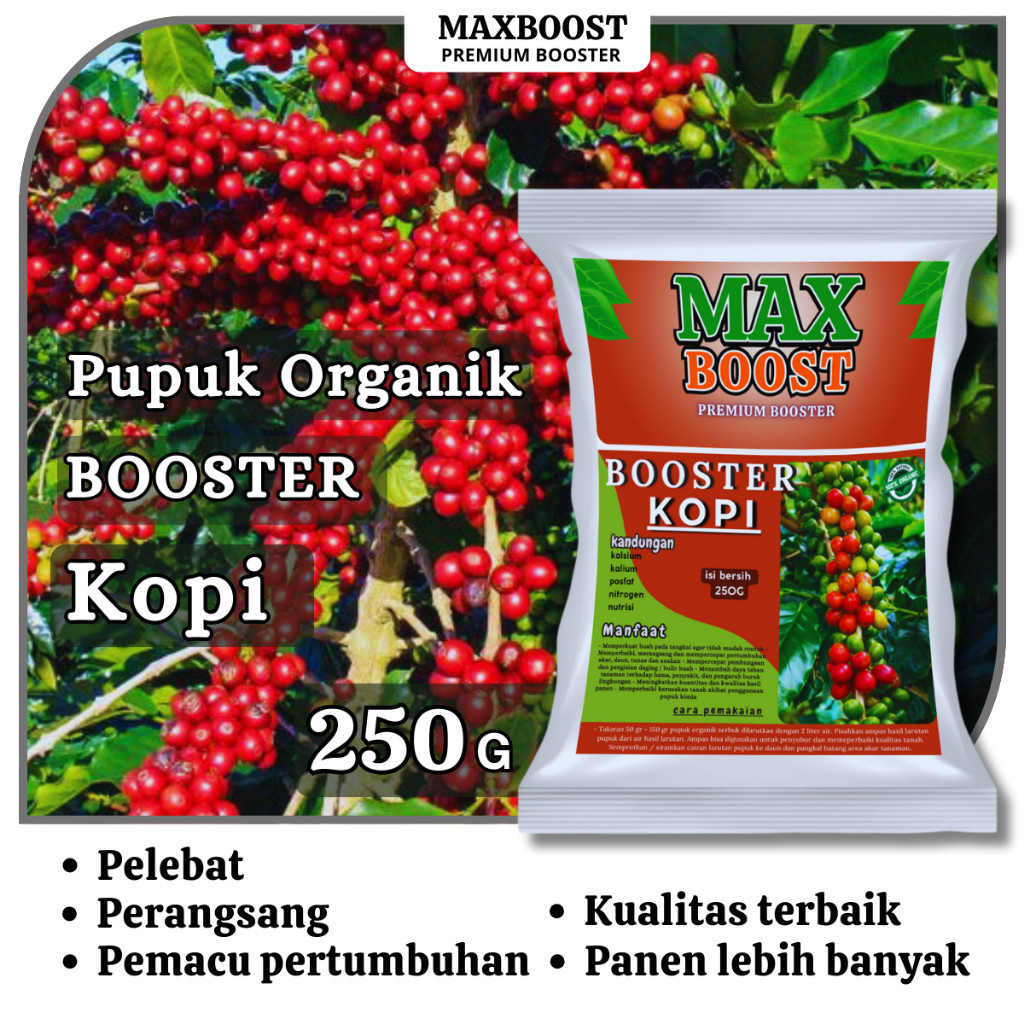 Jual Pupuk MAXBOOST Pelebat Buah Kopi Pupuk Booster Buah Kopi Pupuk Organik Cepat Berbuah Lebat ...