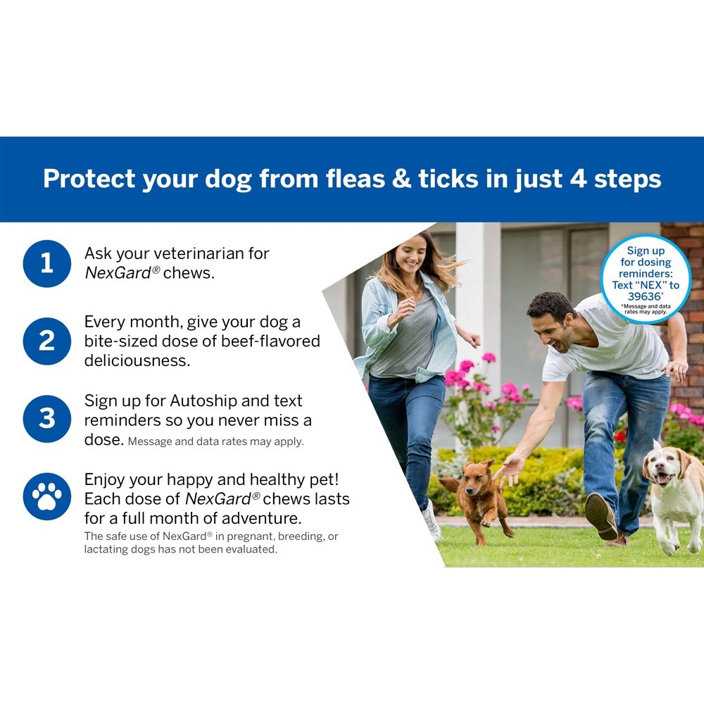 Jual NEXGARD Chewable Tablets For Dog Size M 4-10 KG Obat Kutu & Cacing Anjing Sedang, Per ...