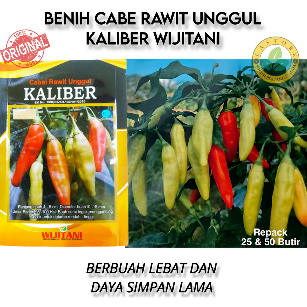 Jual Benih Cabe Rawit Setan Kaliber Original WIJITANI Kemasan Repack ...