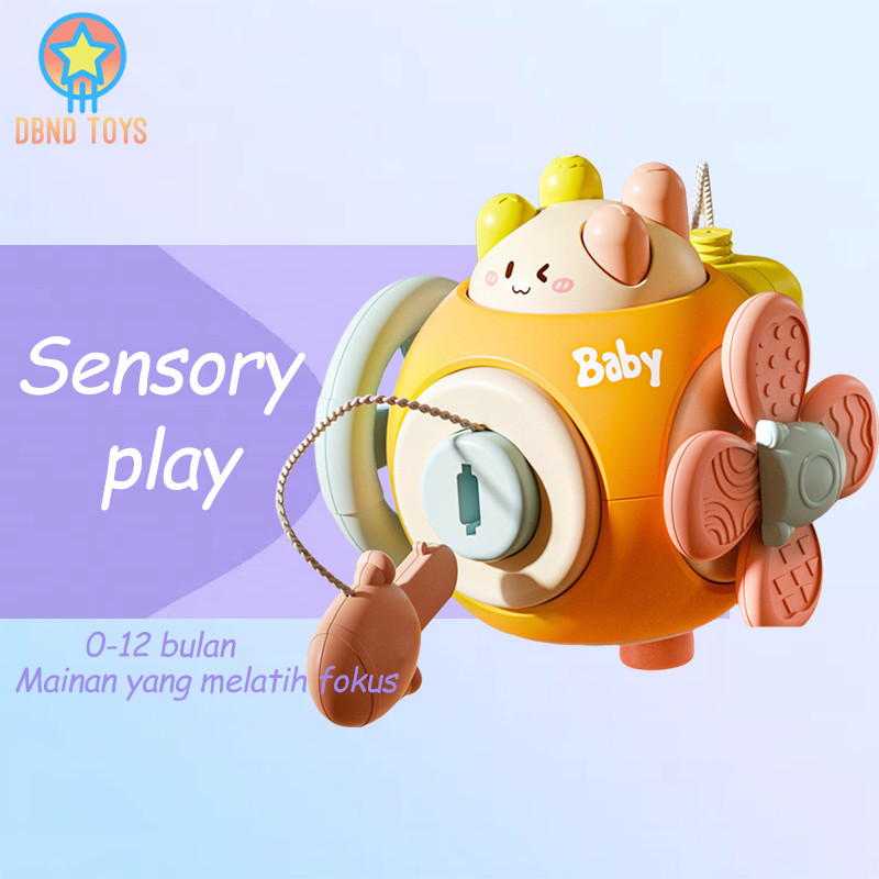 Jual Mainan Bola Sensory Multi-fungsi untuk Bayi Balita: Stimulasi ...