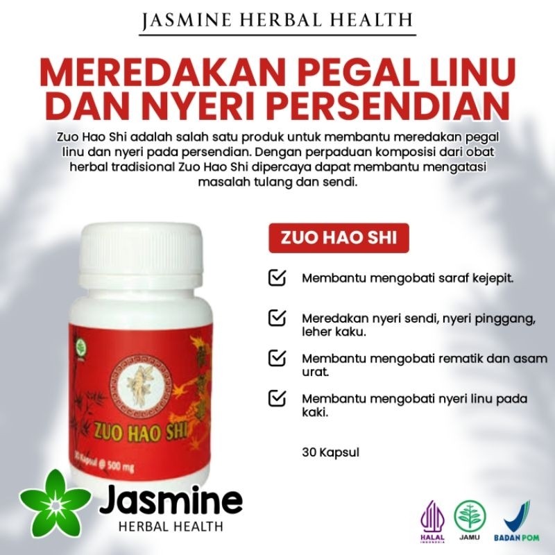 Jual Zuo Hao Shi Obat Ampuh Terbaik Herbal Cina Ginseng Atasi Nyeri ...
