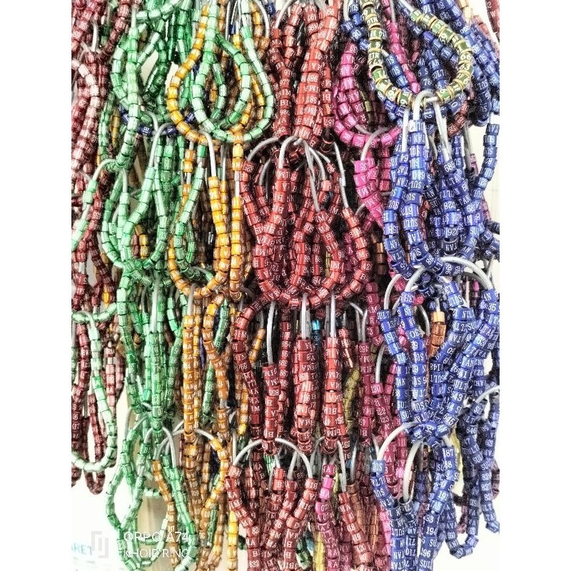 Jual ryRING BURUNG TERMURAH MURAI LOVEBIRD MERPATI KENARI DLL SUDAH ...