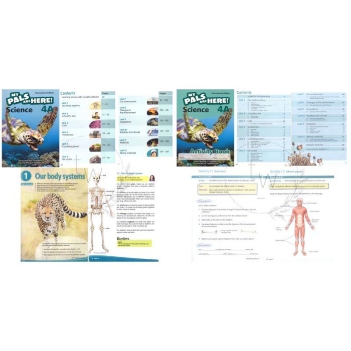 Jual My Pals are Here Science 4A 4B Textbook & Activity Book International Edition | FiIe Materi ...