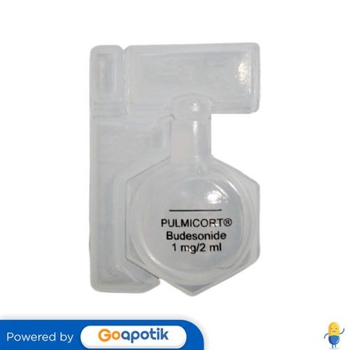 Jual Pulmicort 0,5 Mg/Ml Respules | Shopee Indonesia
