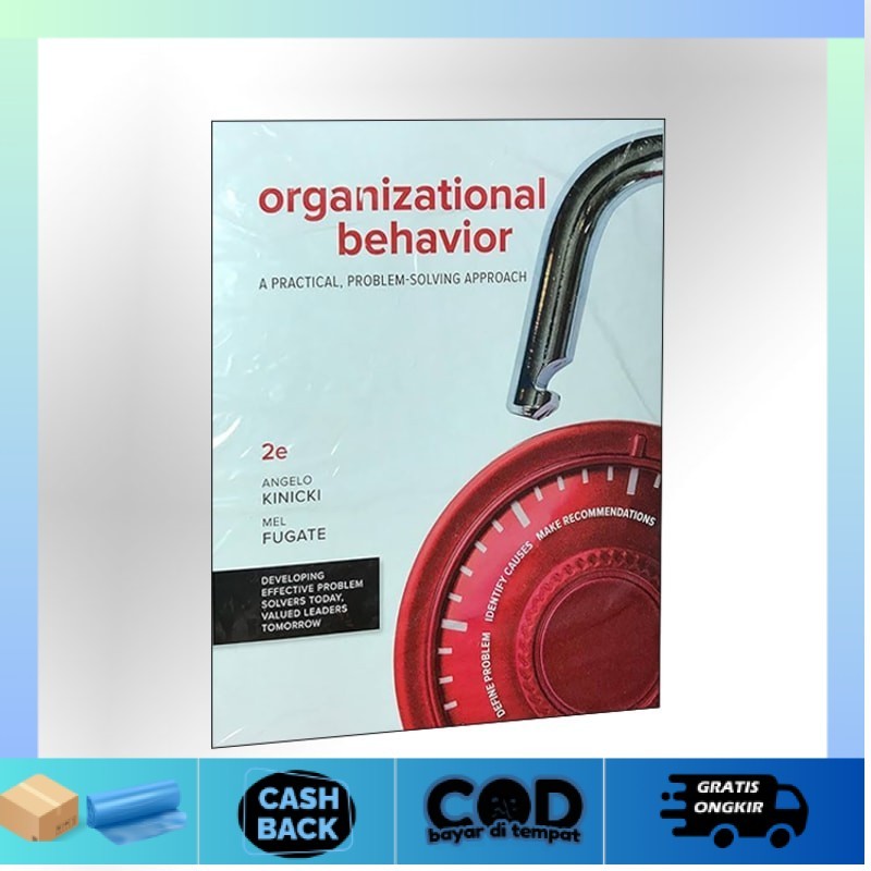 Jual Organizational Behavior 2th 2e 2 edition - Angelo Kinicki | Shopee ...