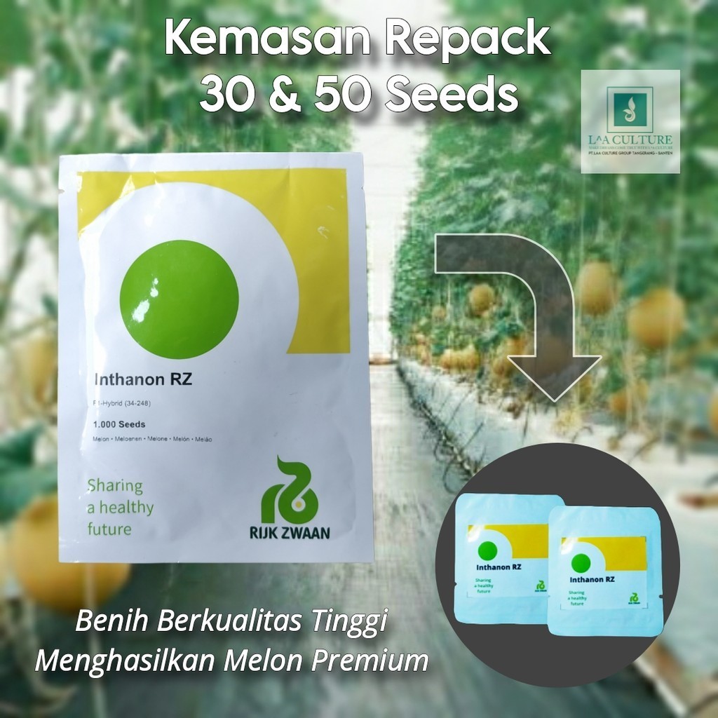 Jual Benih Melon INTHANON RZ Repack 30 dan 50 Butir Rijk Zwaan | Shopee ...