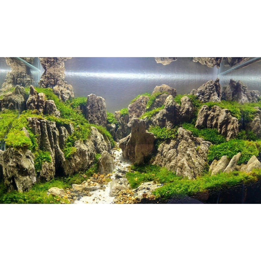 Jual ( Team Kutu ) Batu pasir 500gram - hiasan aquascape aquarium ...