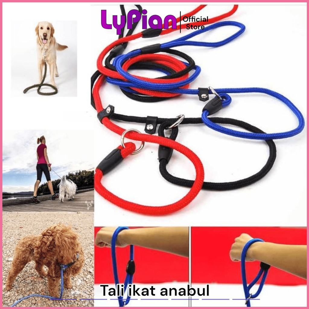 Jual Tali Rantai Kucing anjing nilon tali anjing puppy nylon pet rope ...