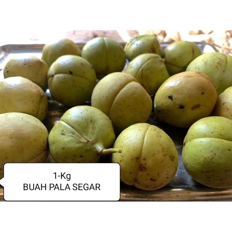 Jual 1-Kg Buah Pala Segar / Buah Pala Tua / Buah Pala ready | Shopee ...