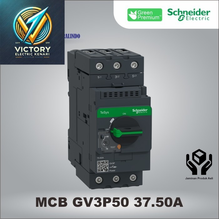 Jual SCHNEIDER MOTOR CIRCUIT BREAKER 22KW GV3P50 motor starter TeSys ...