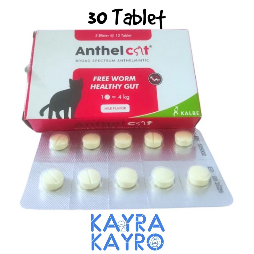 Jual Anthel Cat 30 Kapsul - Obat Cacing Kucing | Shopee Indonesia