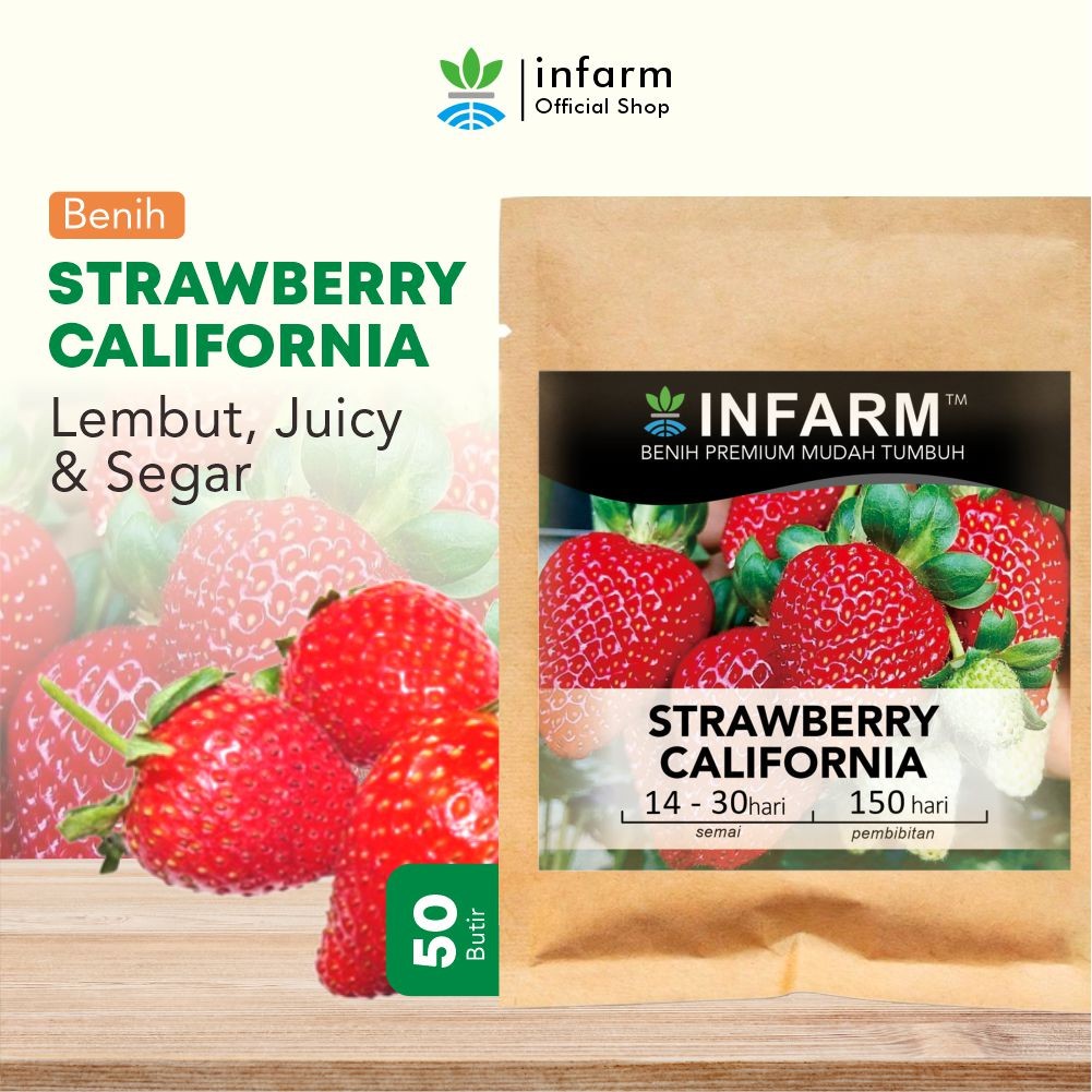 Jual INFARM - Bibit Strawberry California 50 Butir Benih Buah ...