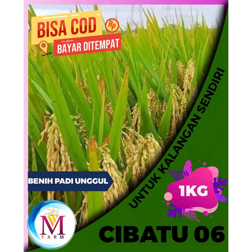 Jual Benih padi cibatu 06 kemasan 1kg | Shopee Indonesia