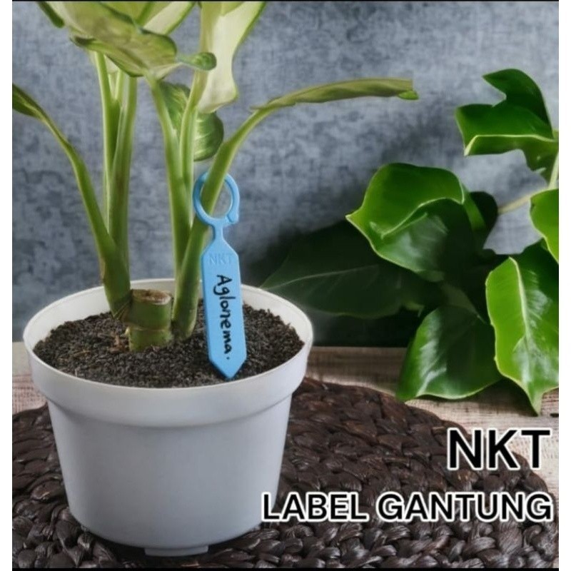 Jual (1pc) NKT LABEL TANAMAN : label name tag gantung atau tancap untuk ...