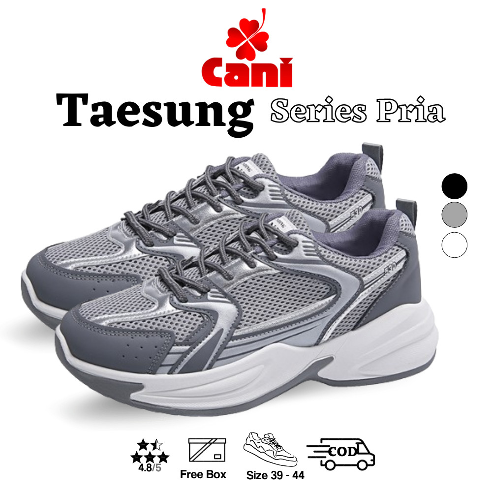 Jual Cani "Free Box" (Size 39 - 44) Taesung Sepatu Sneakers Pria ...