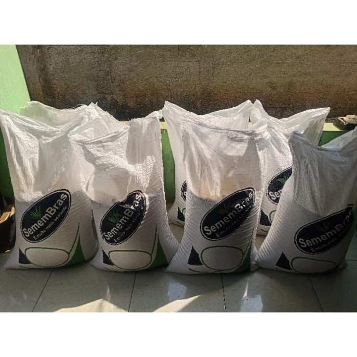 Jual Benih Bibit Rumput Pakan Ternak 500gram-Bibit Rumput-Benih Rumput ...