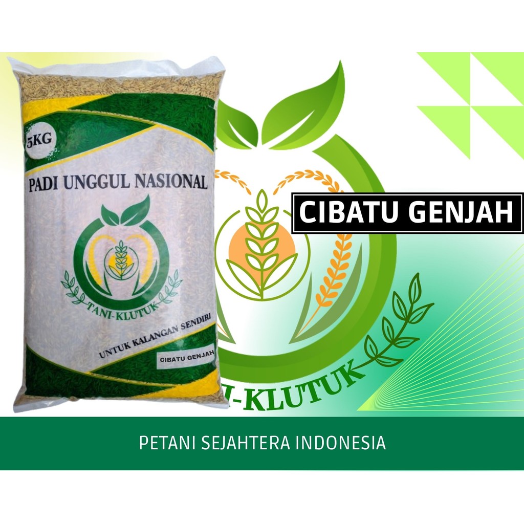 Jual BENIH PADI CIBATU GENJAH kemasan 5kg original | Shopee Indonesia