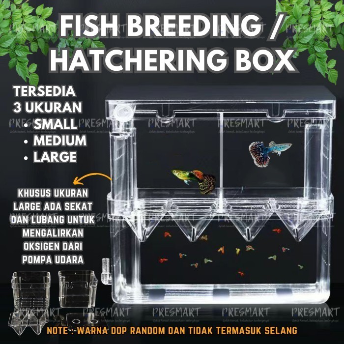 Jual Box Karantina Ikan Cupang / Hatchering Box / Breeding Box Guppy ...