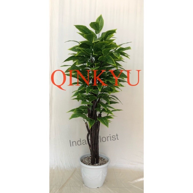 Jual Pohon Hias 160cm Daun Mangga Golden Lucky Artificial Ukuruan Besar ...