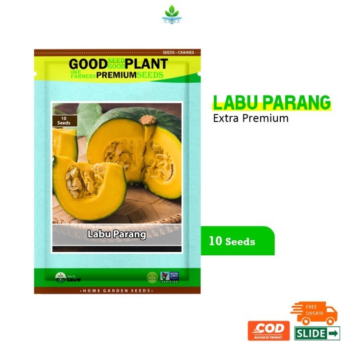 Jual Extra Premium - 10 Biji Benih Bibit Labu Kuning Parang Unggul F1 ...