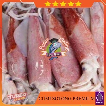 Jual CUMI-CUMI TERLENGKAP KUALITAS EKSPOR | SOTONG | BANGKA | CANTIK ...