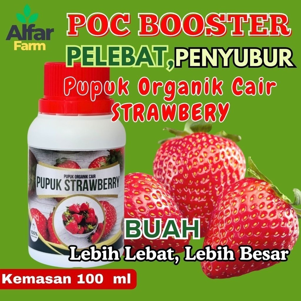Jual Pupuk organik strawberry pelebat buah strawberry booster buah strawberry pupuk organik ...