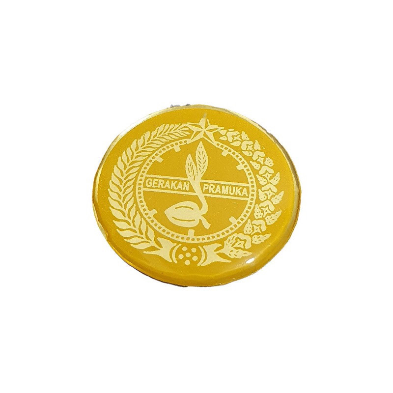 Jual Pin Topi Pramuka Putri Resin Penegak, Kuning | Shopee Indonesia