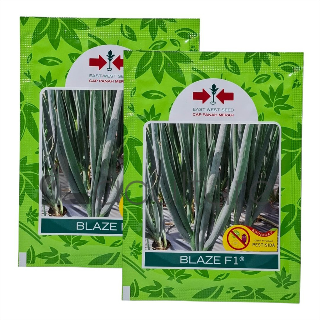 Jual Benih Daun Bawang BLAZE F1 Isi 10 gram Cap Panah Merah | Shopee ...