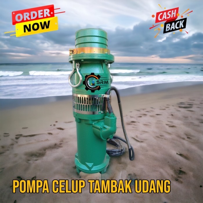 Jual Pompa Celup Tambak Udang 5,5HP 6 Inchi Submersible Pump | Shopee ...
