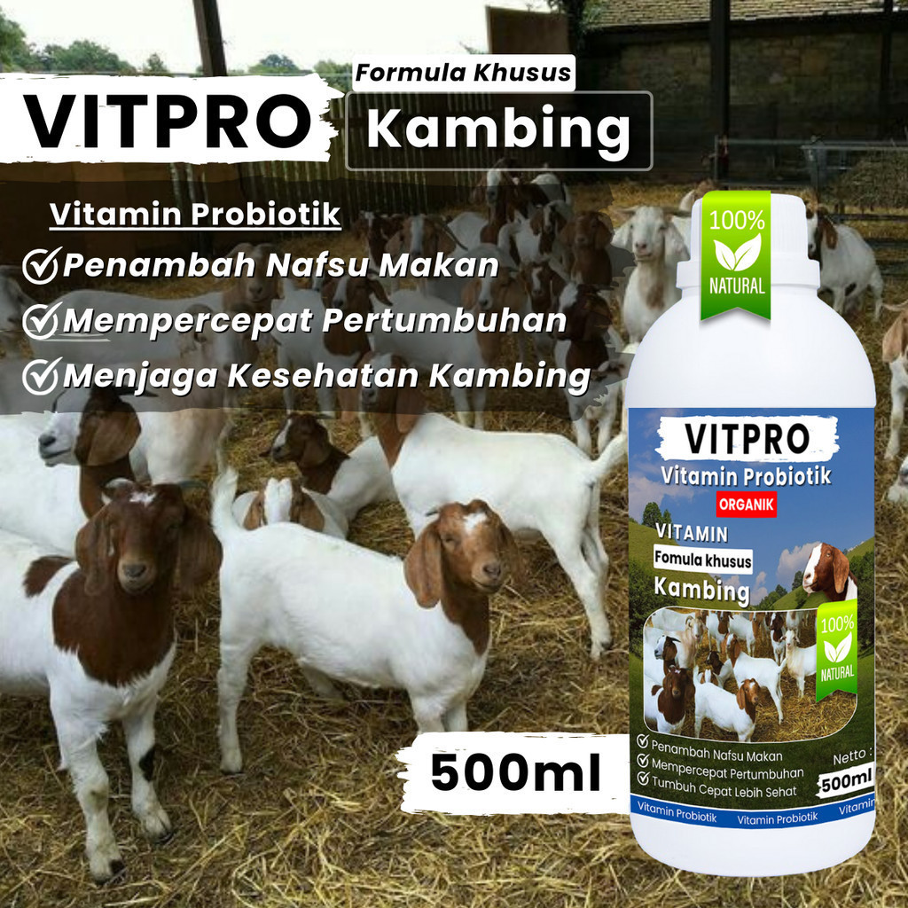 Jual VITPRO Penggemuk Kambing 100% Vitamin Hewan Ternak Aman, VITAMIN ...