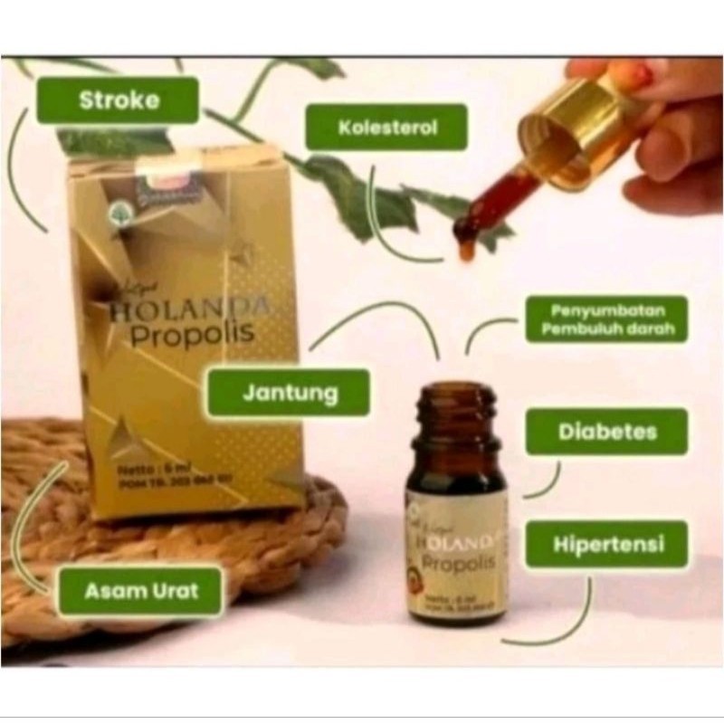 Jual Holanda Propolis Asli Obat Kolesterol Diabetes Hipertensi Kencing ...