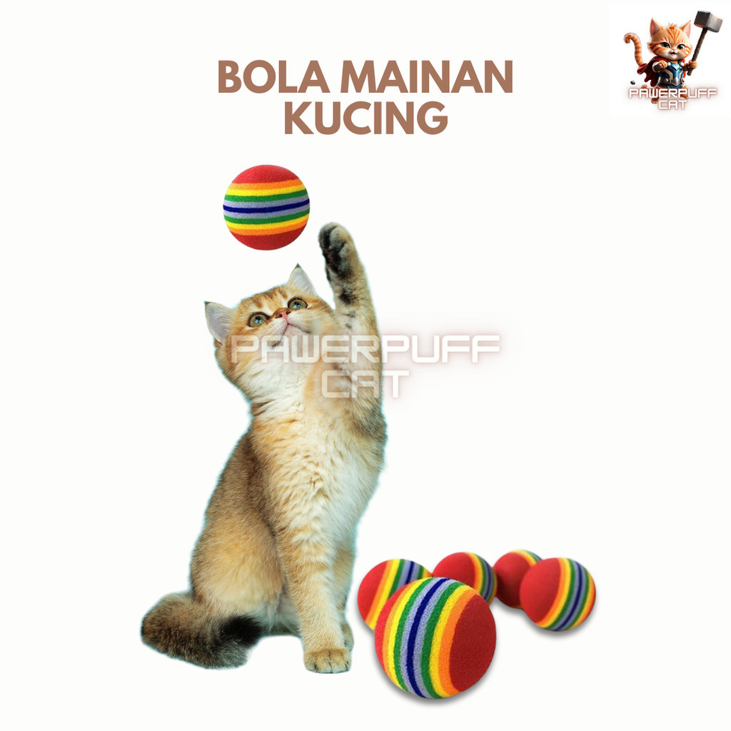 Jual PPC Mainan Kucing Bola Putar Bergerak Cat Toys | Shopee Indonesia